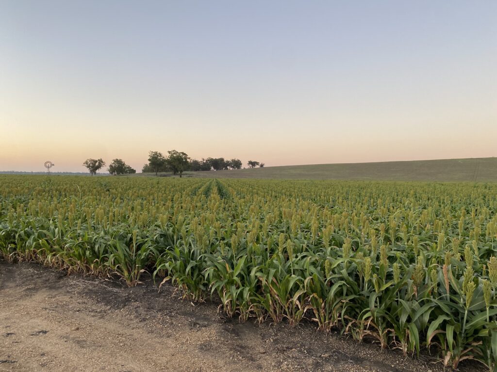 Publications - Rural Land Ownership Project